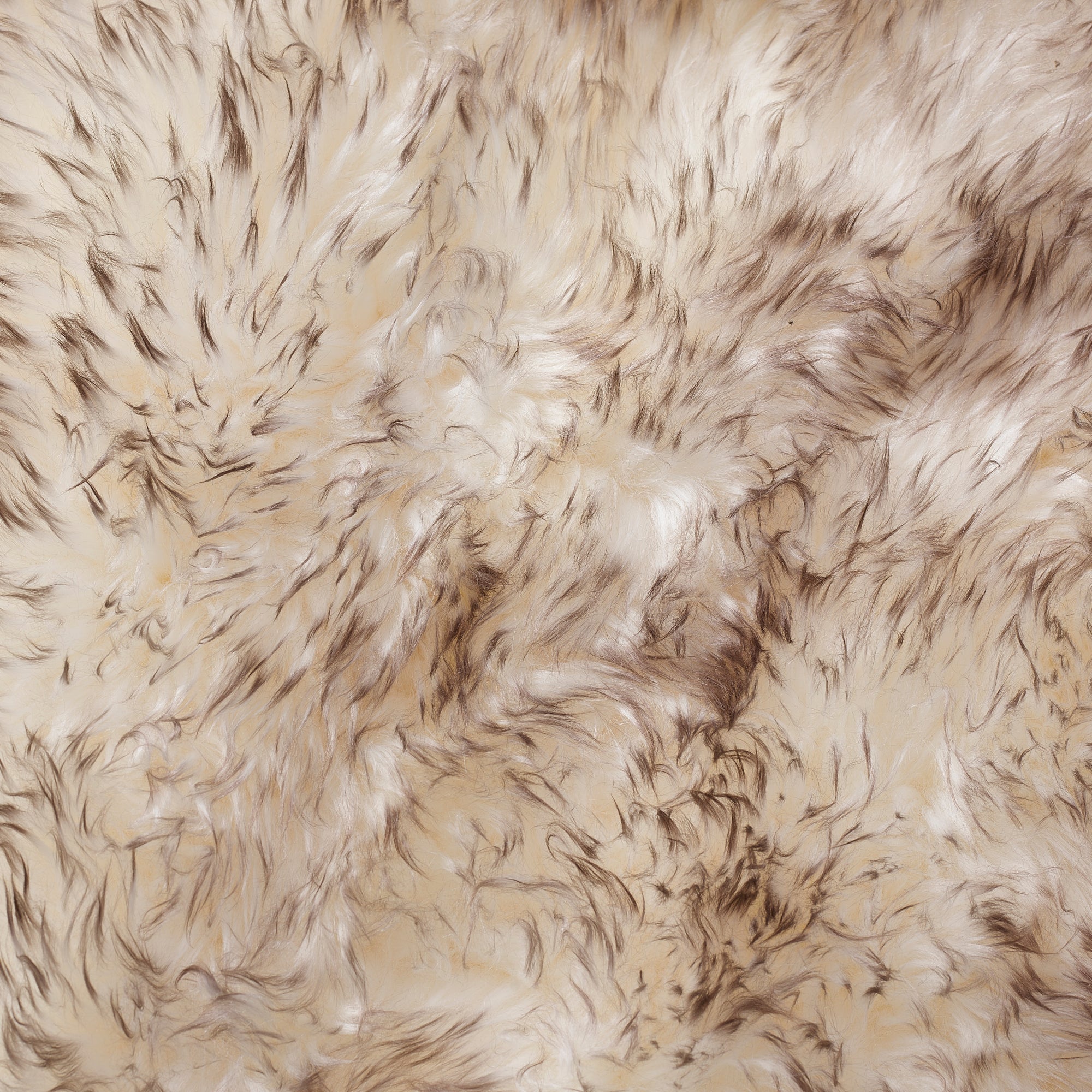 Wolf Tip Sheepskin Rugs | British Sheepskin - Free UK Delivery